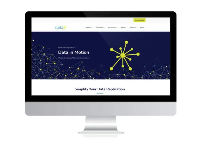 Stelo | Case Study | TREW Marketing